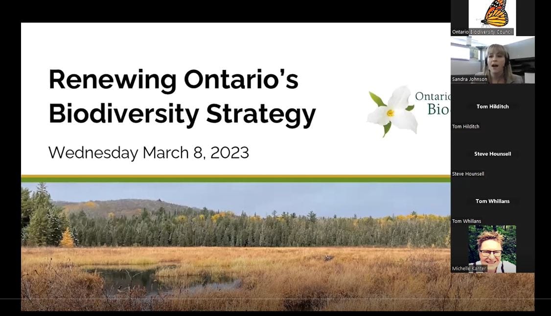 Ontario Biodiversity Council | Renewing Ontario's Biodiversity Strategy ...